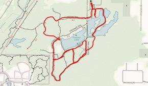 Reinstein Woods Nature Preserve, Park and Walking Trails | Depew, NY